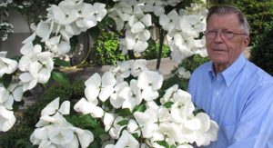 Cornus 'KF111-1' (Hyperion) - Kiefer Nursery: Trees, Shrubs, Perennials